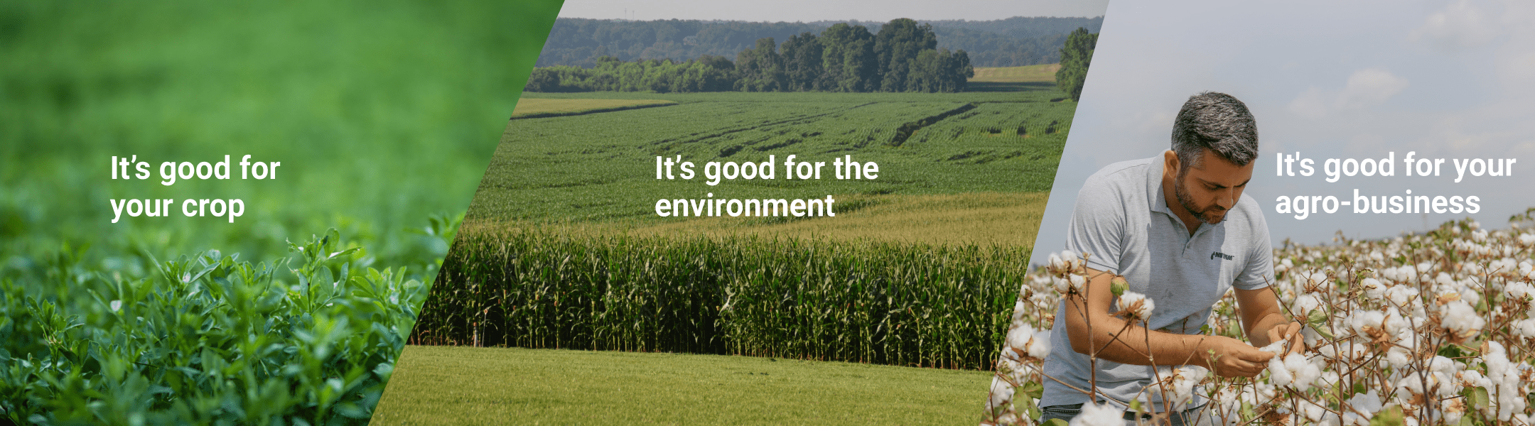 SDI-GO™ Set and succeed | Netafim